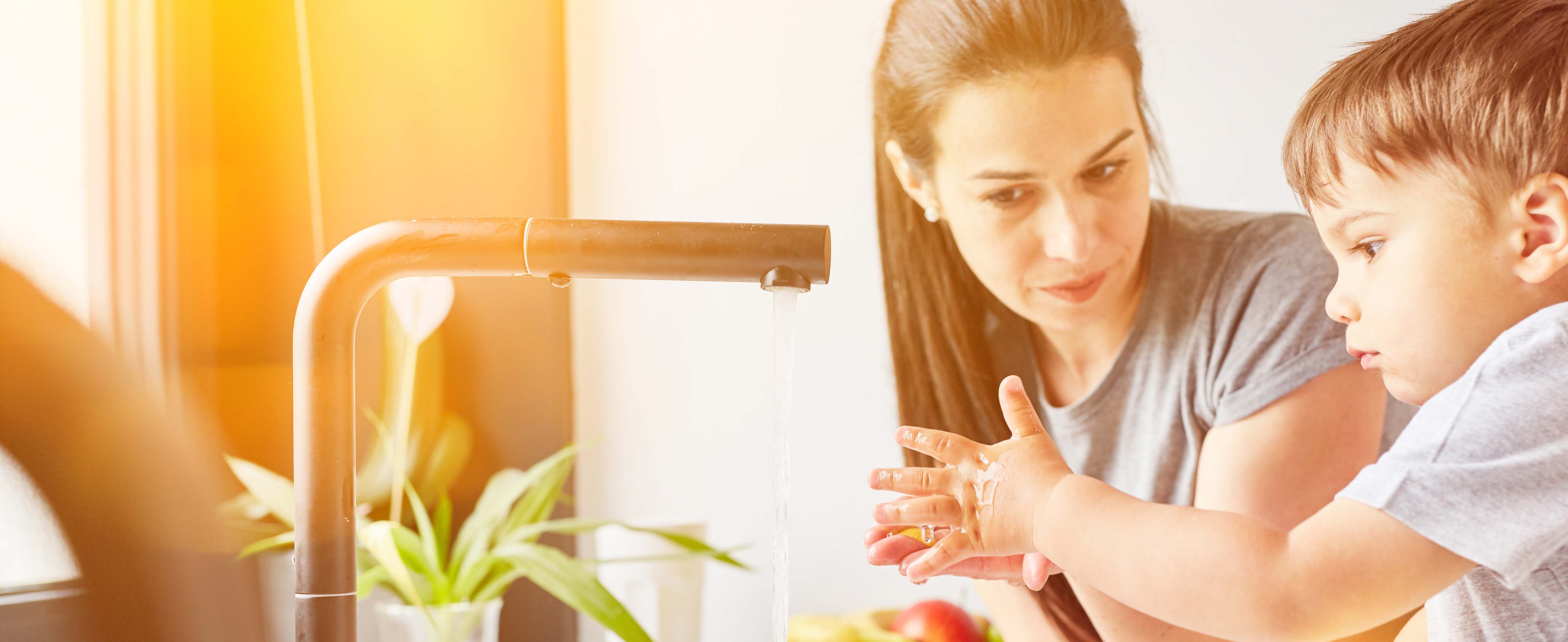 Consumer Products - Roam Technology