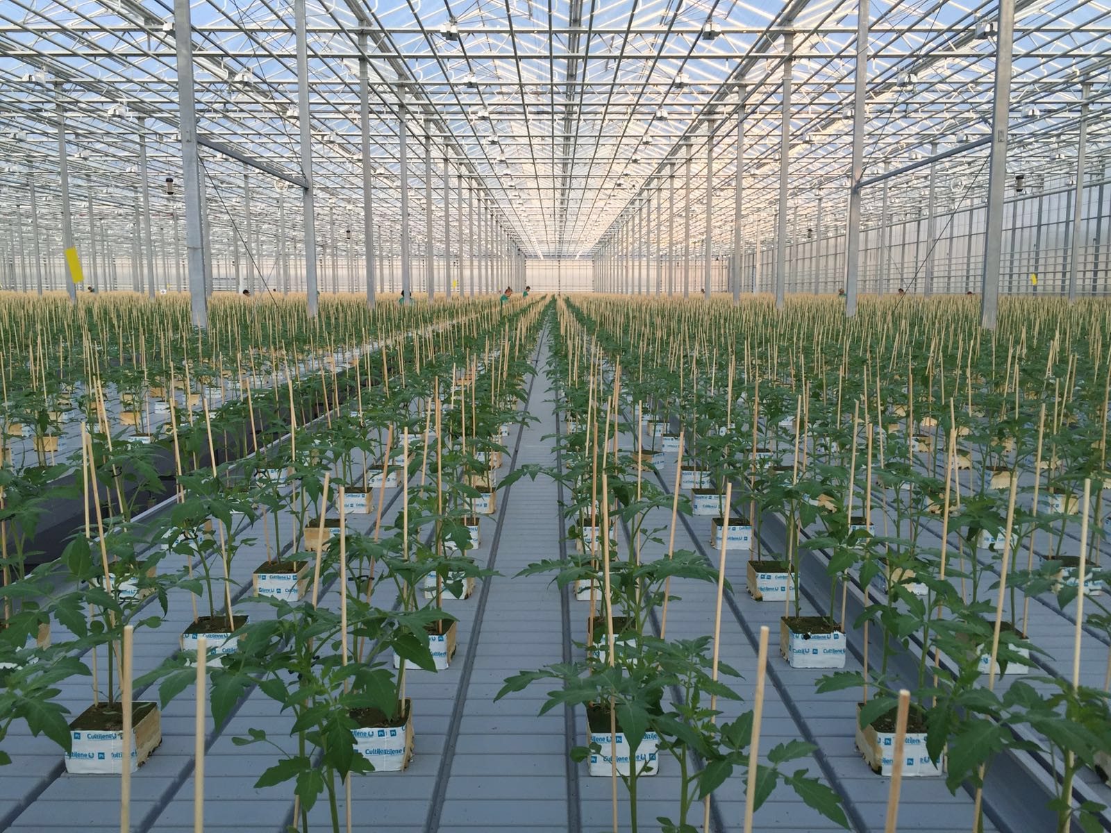 Roam Technology’s Agro Solutions Team Continues To Grow - Roam Technology